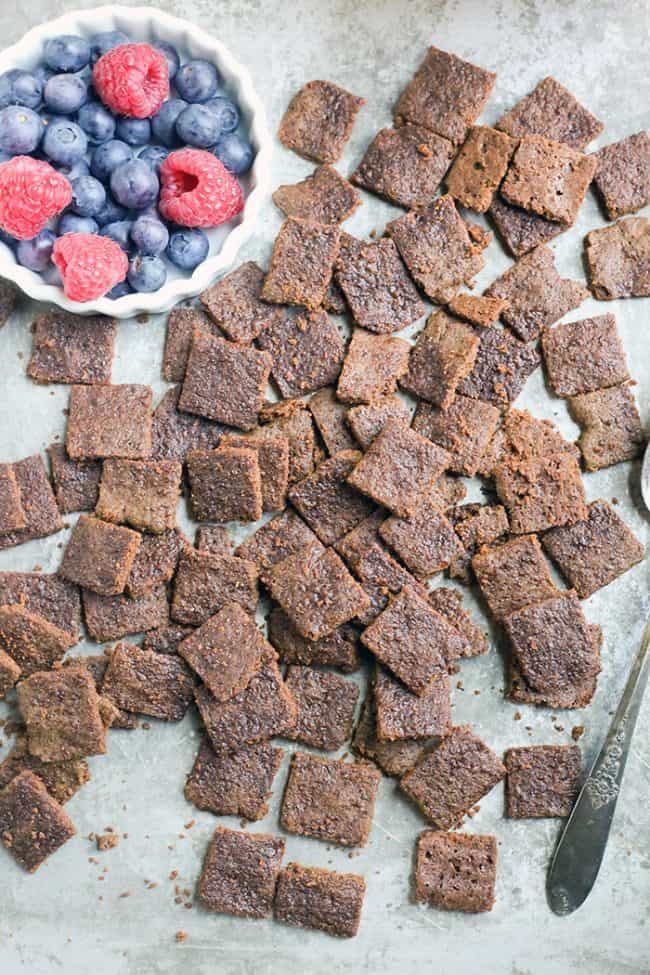 Crunchy Cinnamon Toast Squares (Paleo)