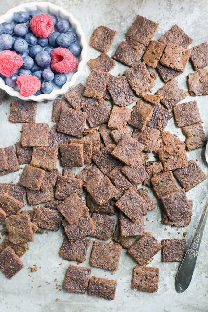 Crunchy Cinnamon Toast Squares (Paleo)